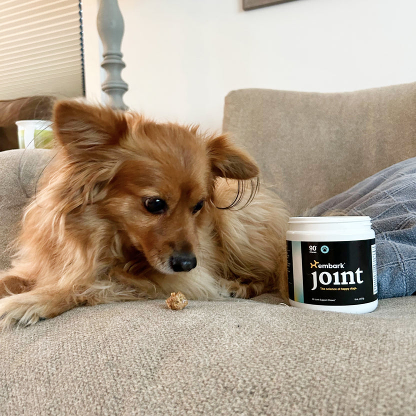 Embark Joint Supplement for Dogs: Hip, Joint & Mobility Support ...